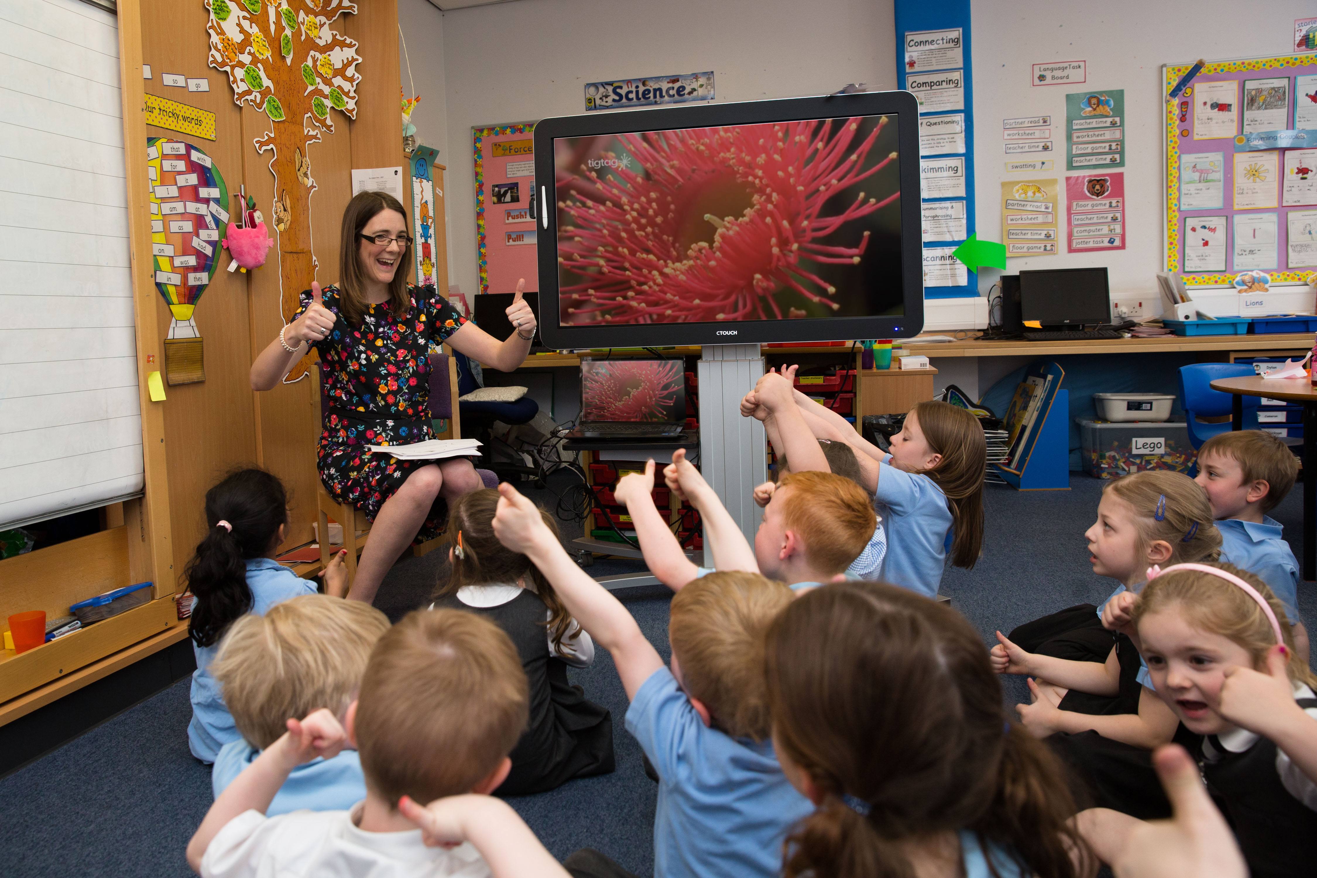 Why Teachers Love Tigtag - BESA LendED