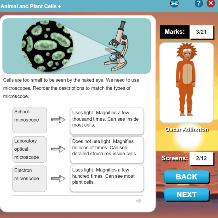 SAM Learning – BESA LendED