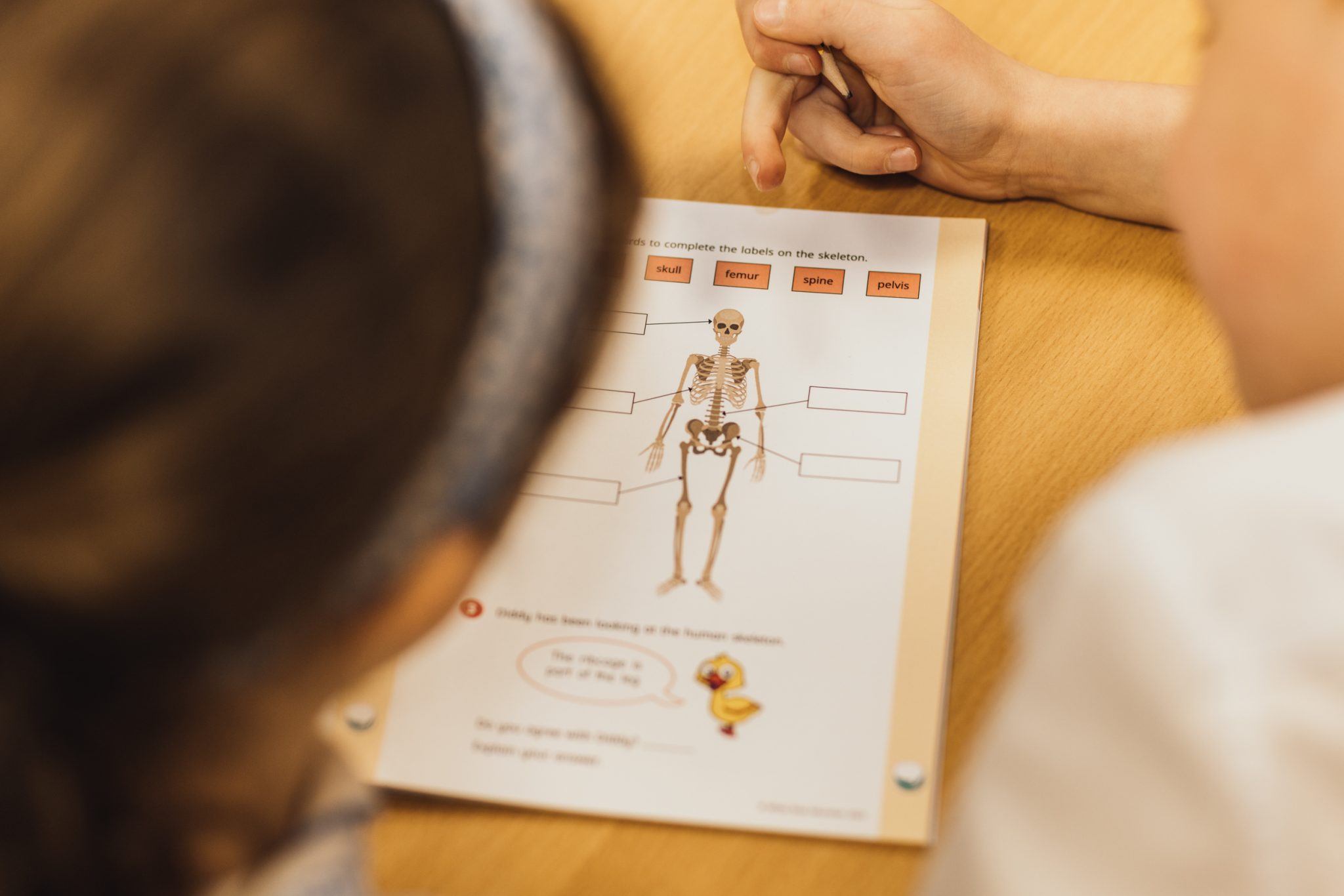 White Rose Science premium resources – BESA LendED